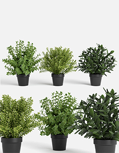 3D Models » Decoration » Plants » Download for Your Design Projects ...